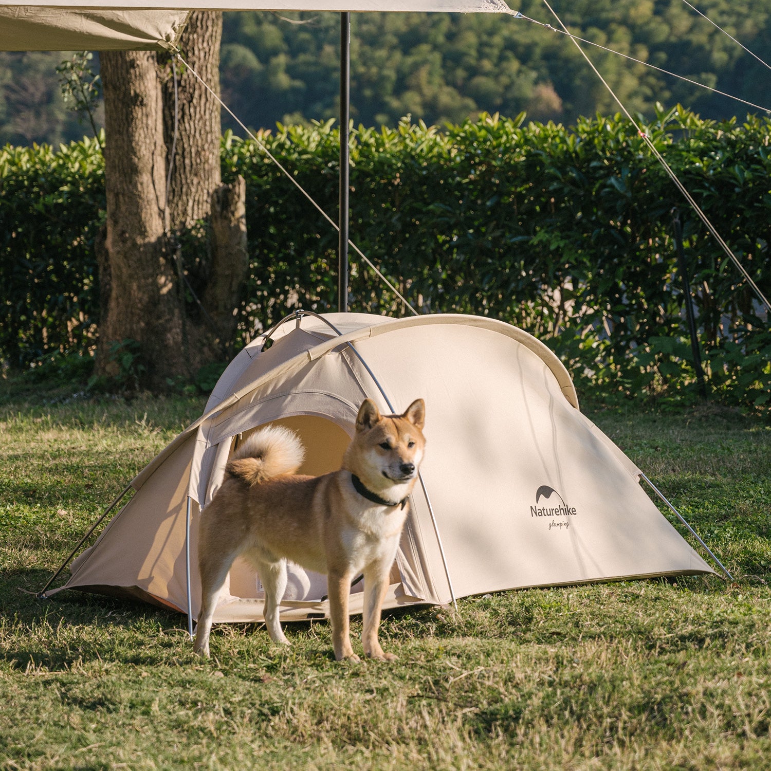 Naturehike Mini Hiby 4-season Pet Tent - Naturehike official store